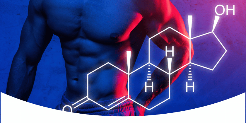 Testosterona E Saúde Sexual Masculina